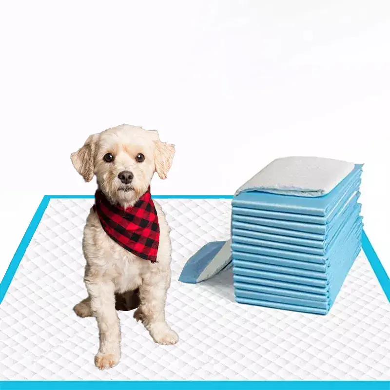 Best Wholesale Pet Supplies Supplier In China - Sellers Union